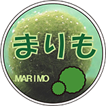 head_marimo – れんてつ